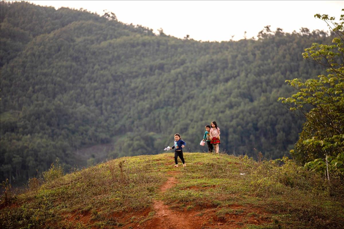 Vietnam Pictorial