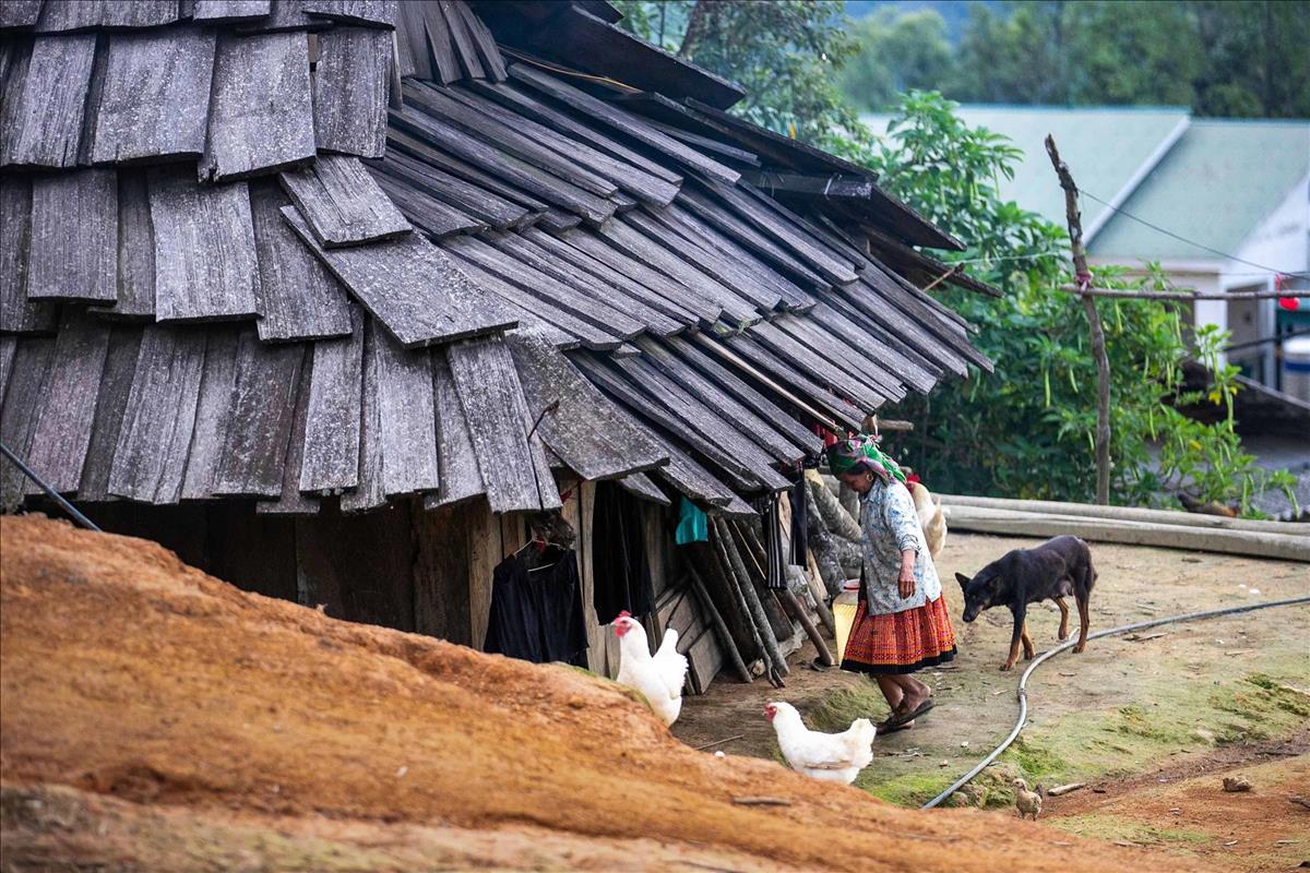Vietnam Pictorial