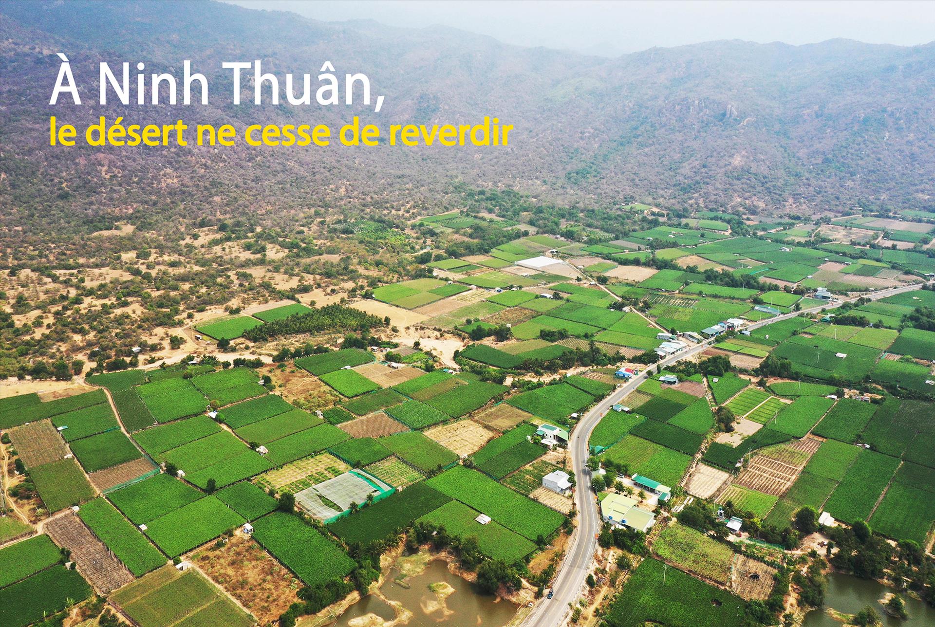 À Ninh Thuân, le désert ne cesse de reverdir