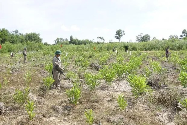 Vietnam National Mine Action Centre celebrates 10th founding anniversary