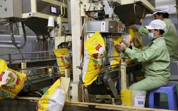 Big opportunities for rice exports in 2024