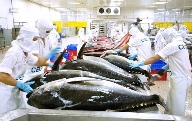 Vietnamese tuna products exported to 80 markets worldwide