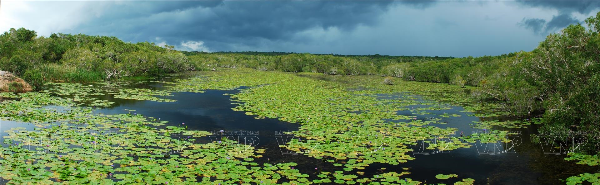Reserva natural Binh Chau – Phuoc Buu