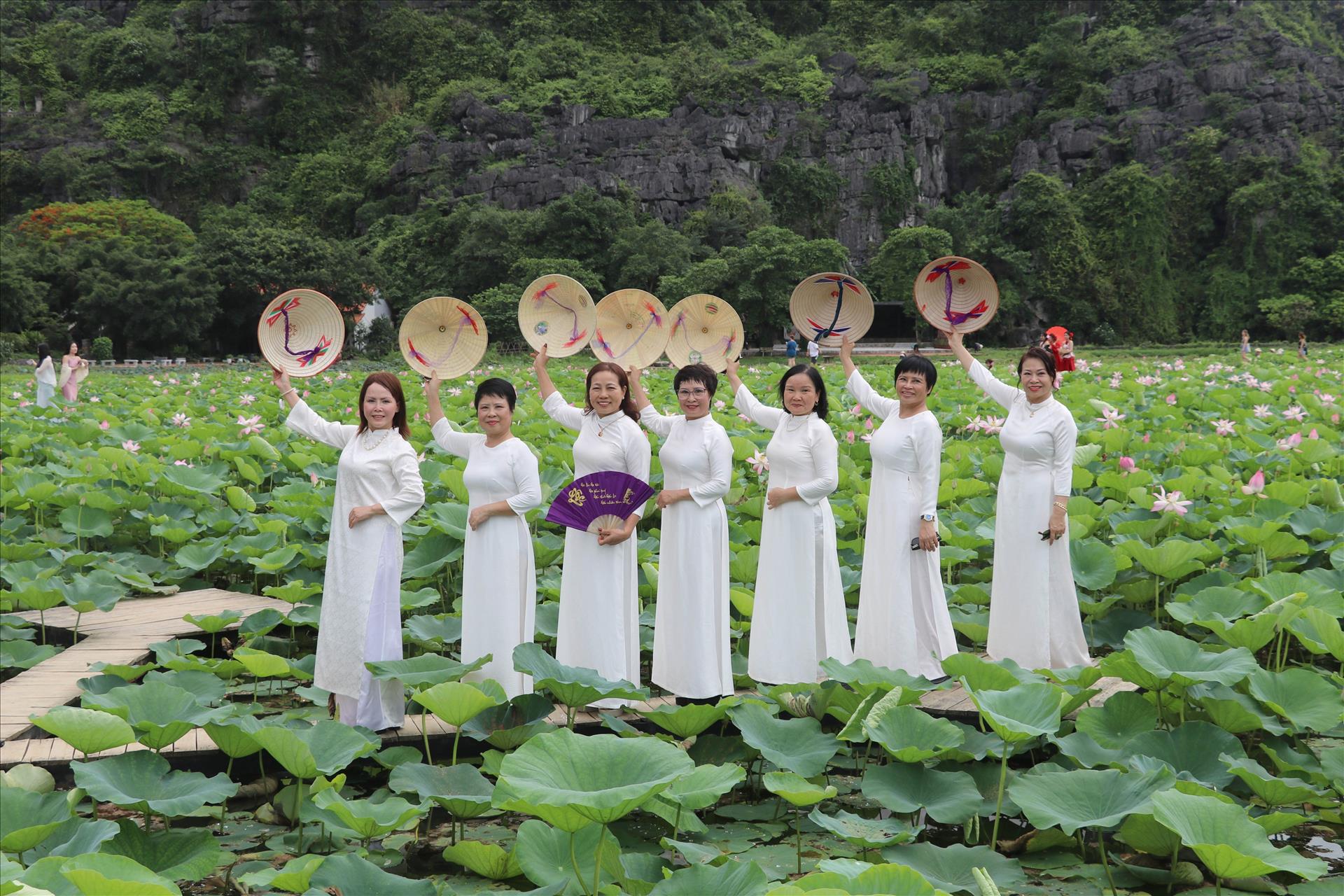 Ninh Binh Summers Fragrant with Lotus Blossoms