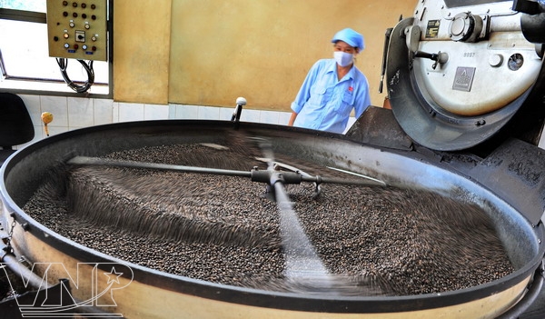 Dak Lak – The capital of Vietnamese coffee