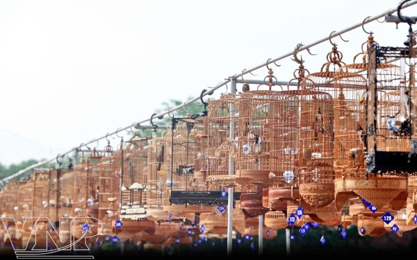 Lồng chim làng Vác