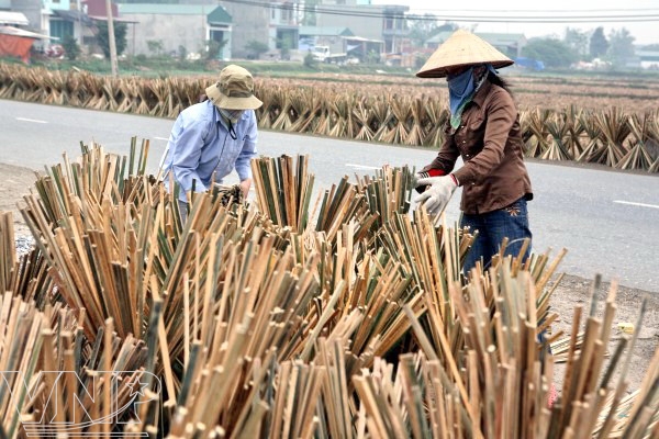Lồng chim làng Vác
