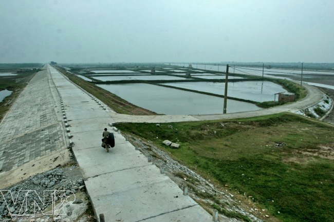 Les digues maritimes de Nam Dinh