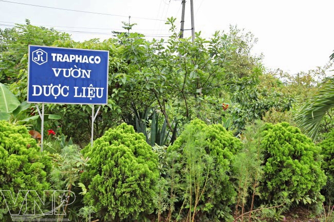 TRAPHACO – Tự hào thuốc Việt