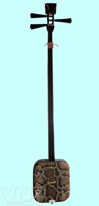 La passion des instruments de musique traditionnelle