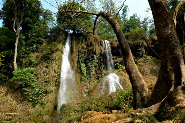Spring in Moc Chau