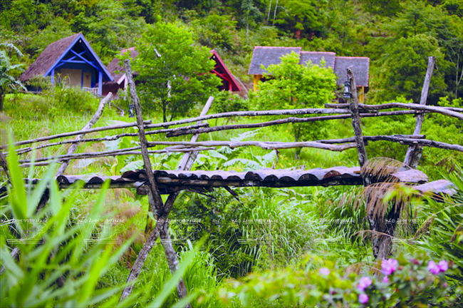 Five peaceful Vietnamese villages for your exploration