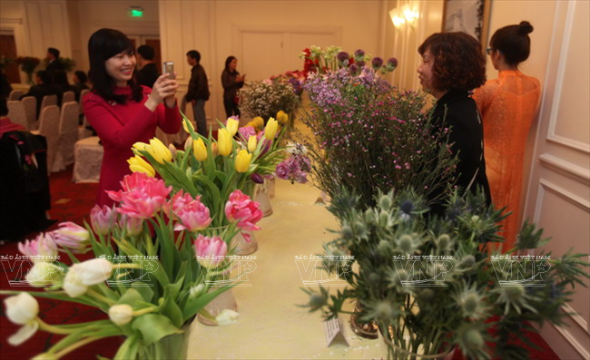 Len Alkemade’s Calimero Flower Designs