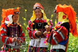 Colours of the Lo Lo Ethnic Group
