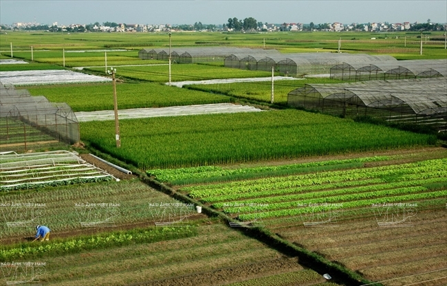 High-tech Farming Production for Sustainable Development