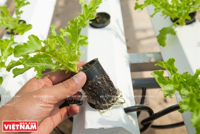 Agriculture Gets a High-tech Boost