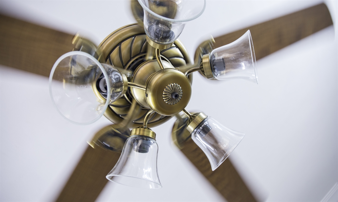 Vietnamese fans create cultural wind